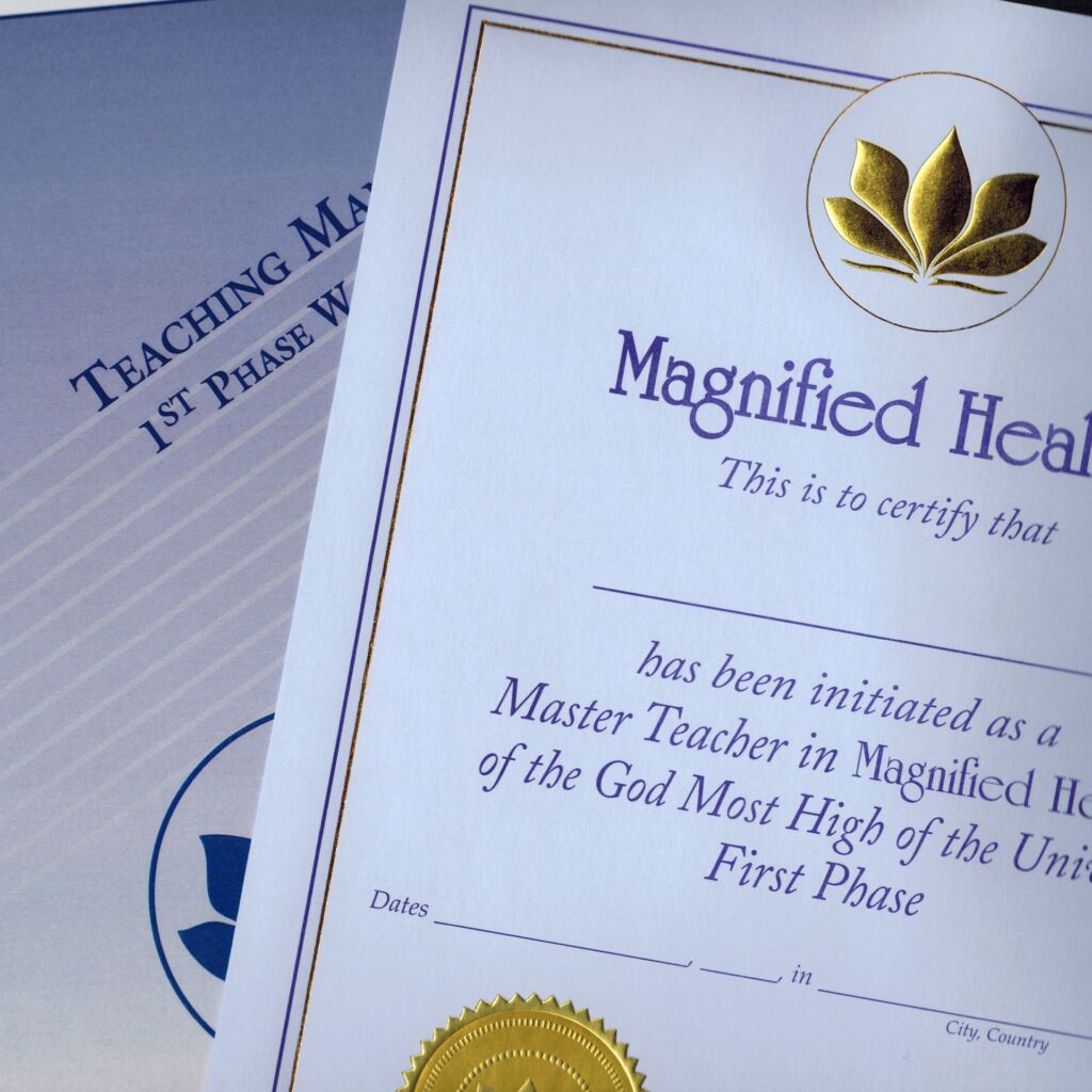 Shop – Magnified Healing®